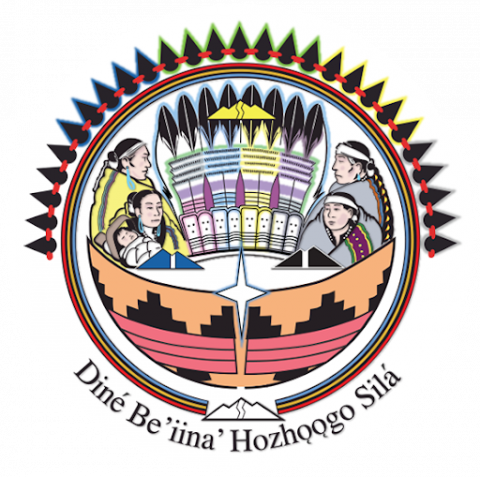 Regional Behavioral Health Authority | Navajo Nation Division of ...